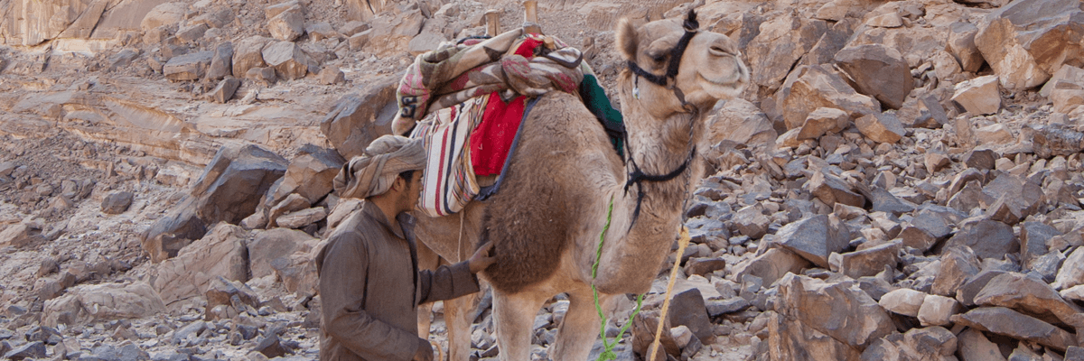 History – Live the bedouin life